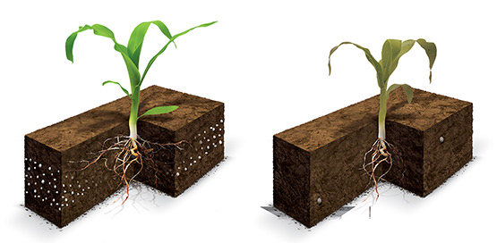 Wolf Trax - Goulding Soil Nutrition ROI