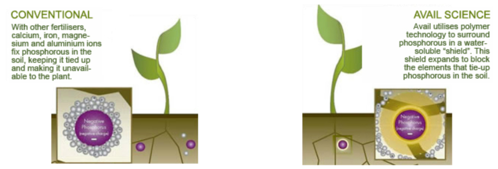 Avail - Goulding Soil Nutrition ROI